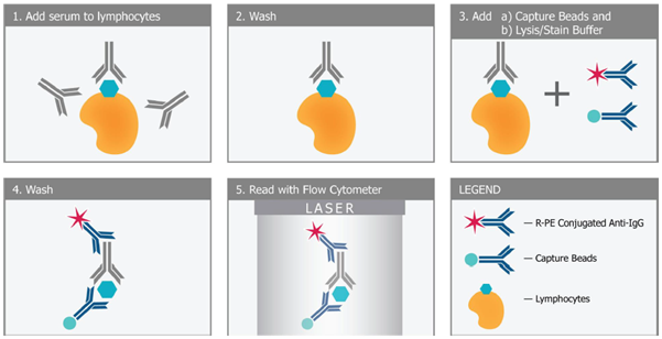 What’s New In Antibody…?